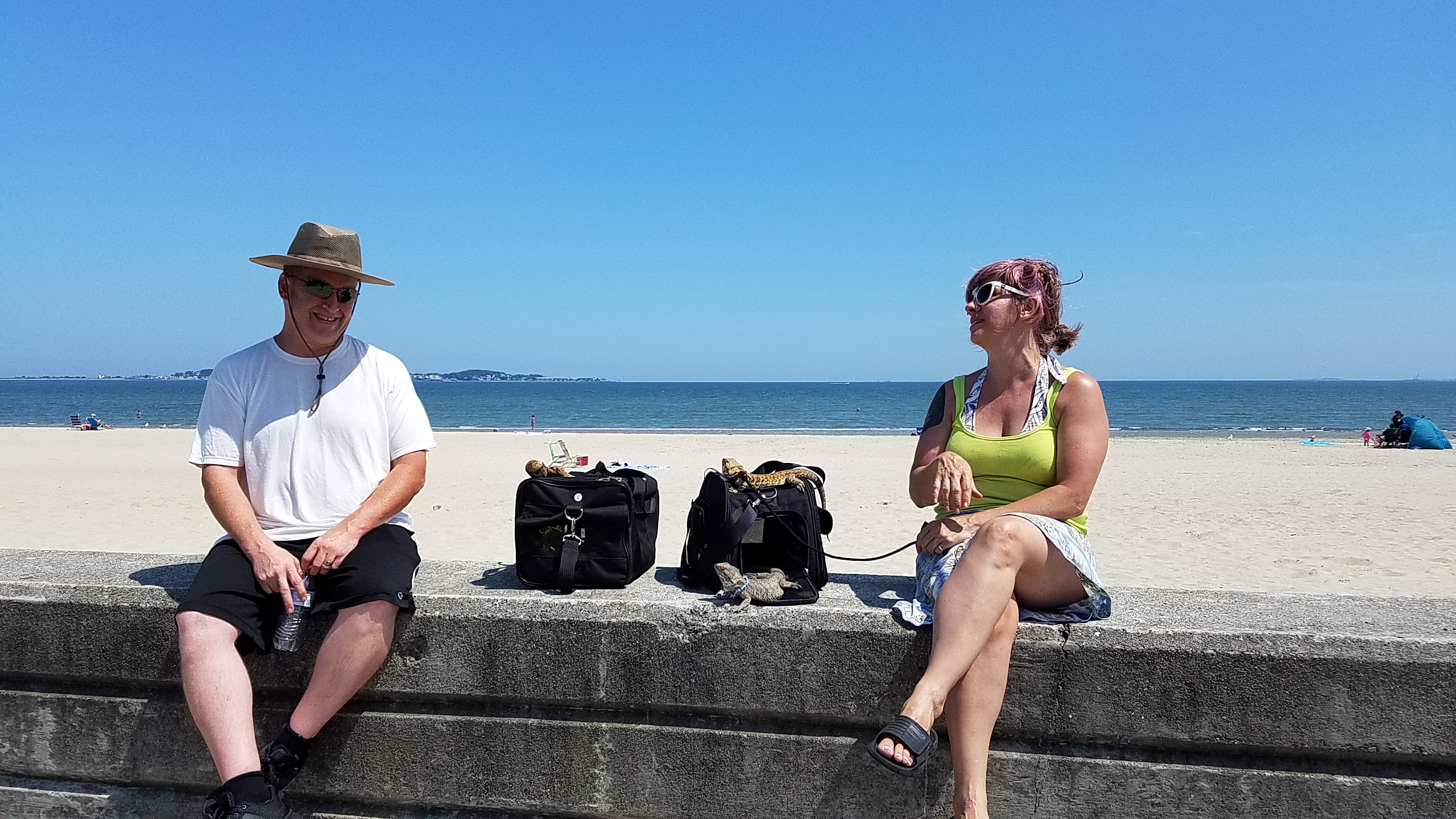 Unexpected Encounter | MEHopper